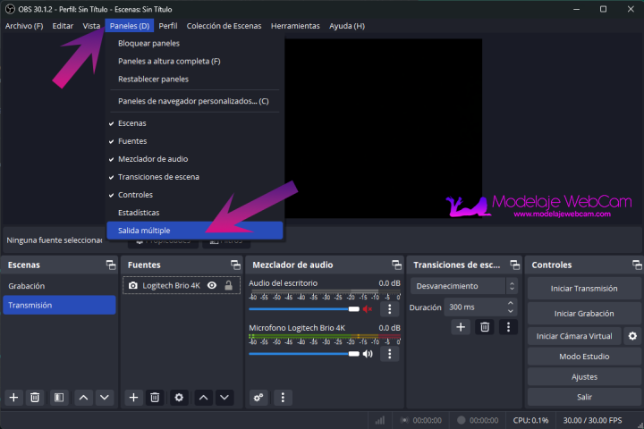 ¿Cómo transmitir en varias plataformas a la vez con OBS? - Modelaje WebCam