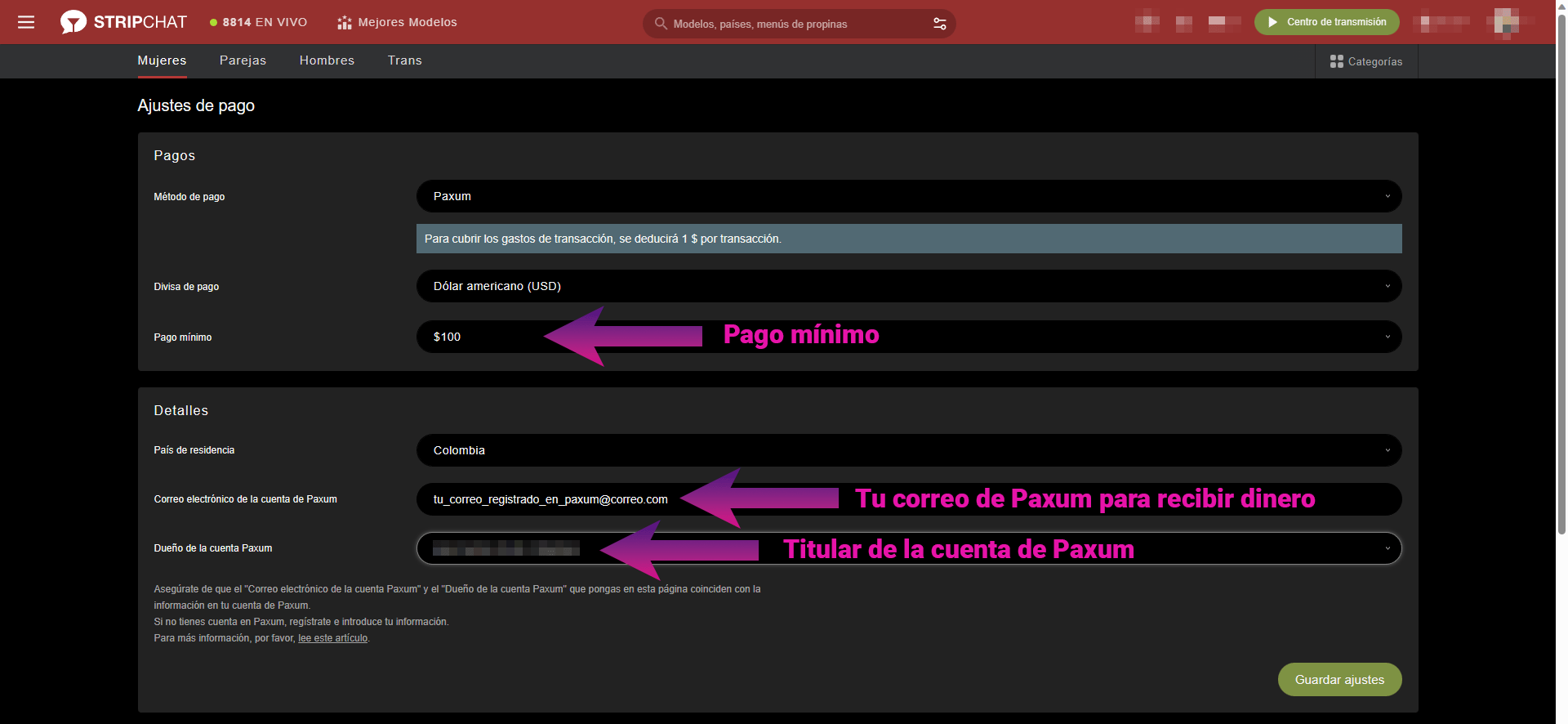 ¿Cómo configurar Paxum como método de pago en Stripchat? - Modelaje WebCam