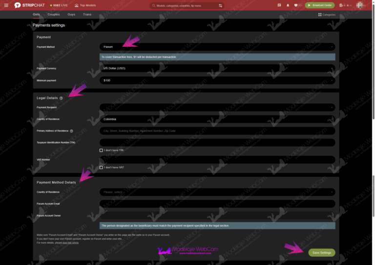 How to set up a payment method in Stripchat? - Modelaje WebCam